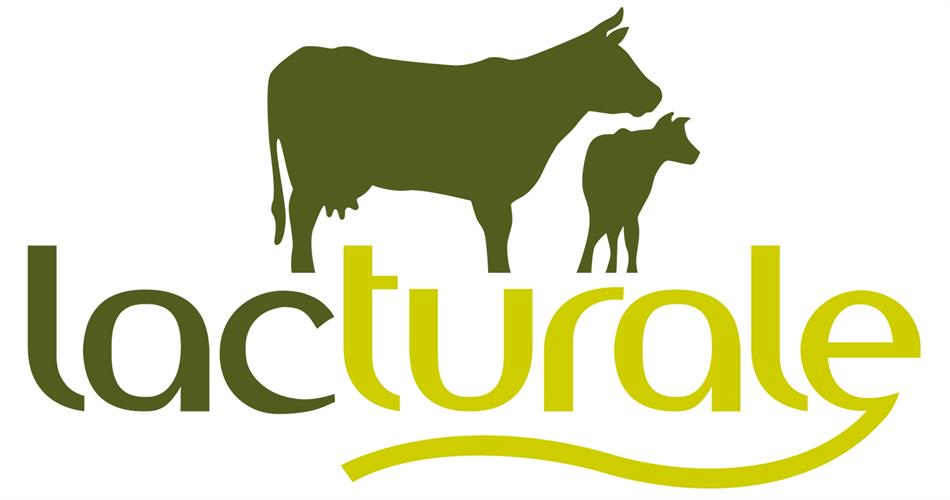 Lacturale (Centro de interpretación de la leche) | Casa Loperena